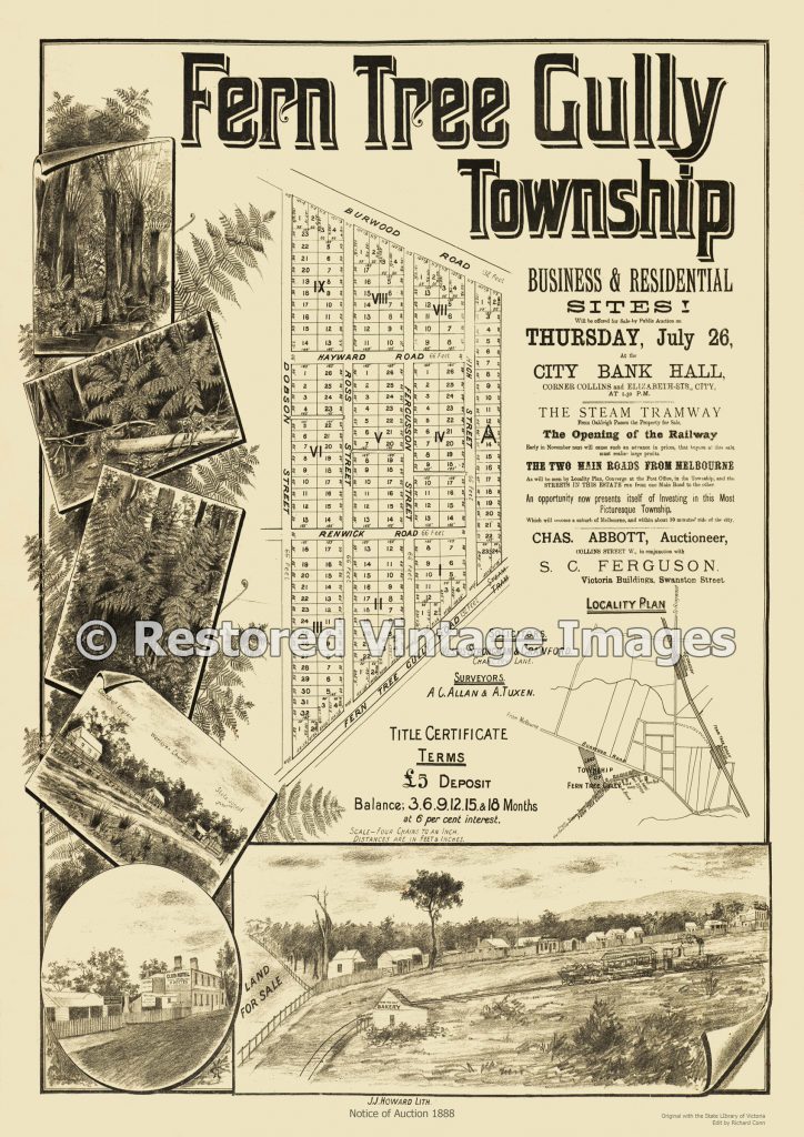 Fern Tree Gully Township 1888 - Ferntree Gully - Restored Vintage Images
